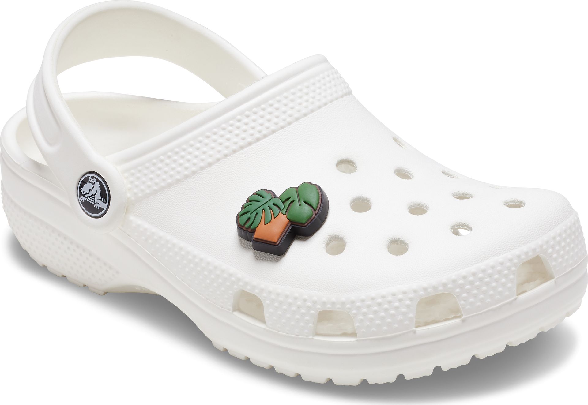Crocs™ Jibbitz Succulent Pot | crocs.lt